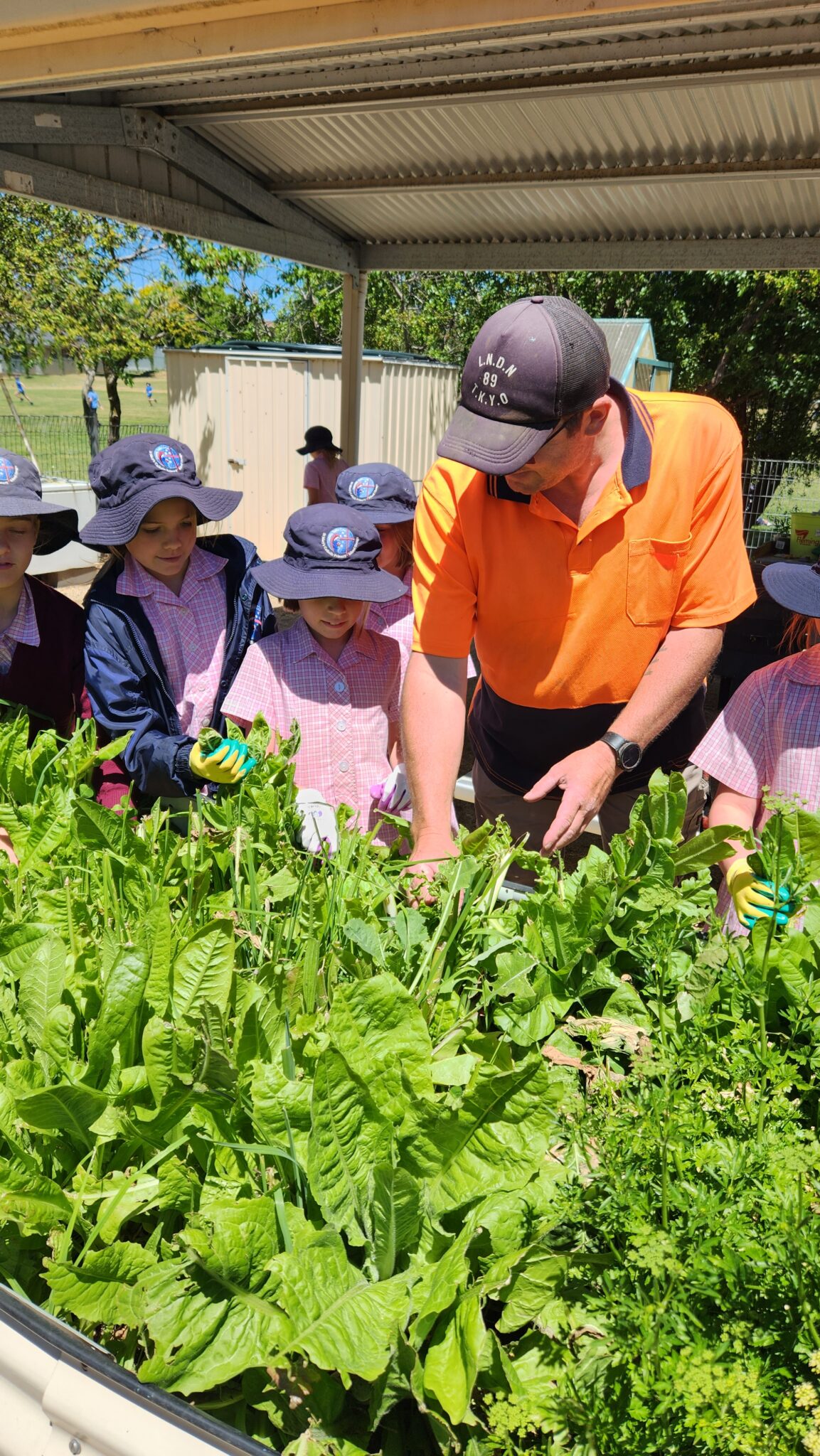 Gaining Ground: meet Matt Downey - IEU NSW/ACT